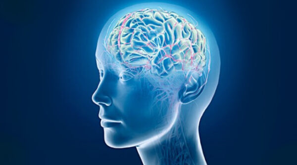 Neuropsychology: The Map of the Head and the Benefits of Massage