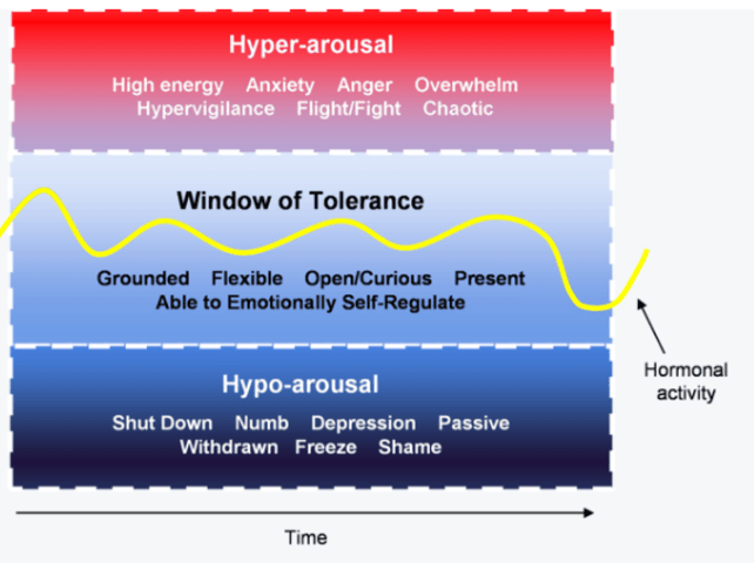 The Autonomic Nervous System & Technology: Towards a More Kind Future